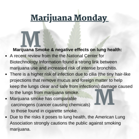 Marijuana Mondays | The Prevention Council of Erie County